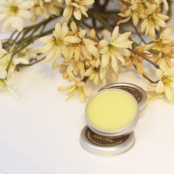 Rice Extract Lip Balm 10g – THANN Singapore